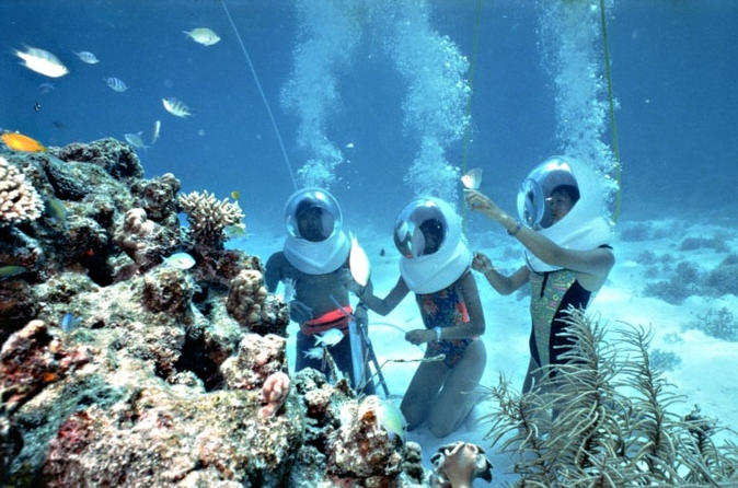 Sea Walk In Elephant Beach Havelock