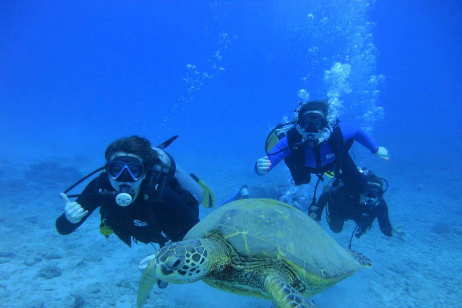 Scuba diving in Neil