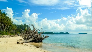 wandoor beach