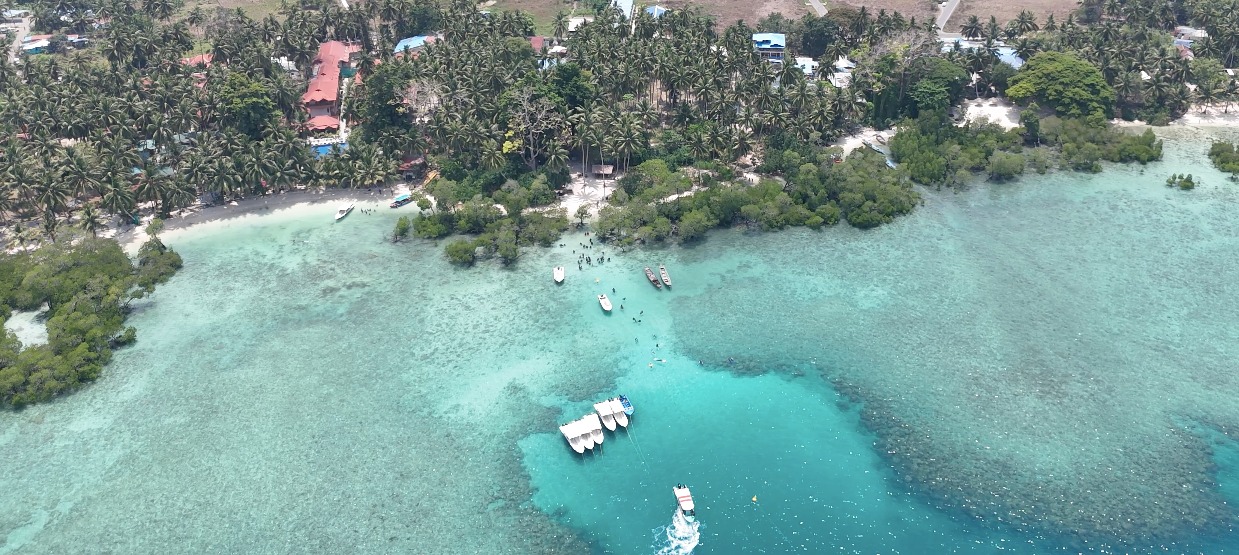 Shore Dive at Nemo Reef, Havelock – Beginner’s Dive in Andaman